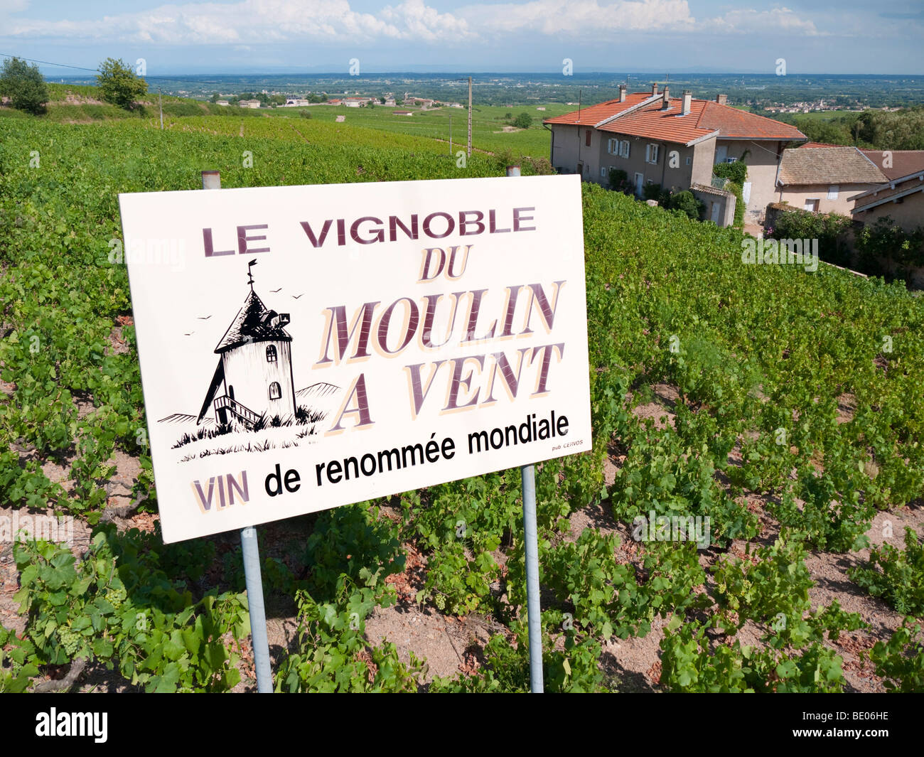 A signboard in a vineyard advertises the renowned Beaujolais wine of ...