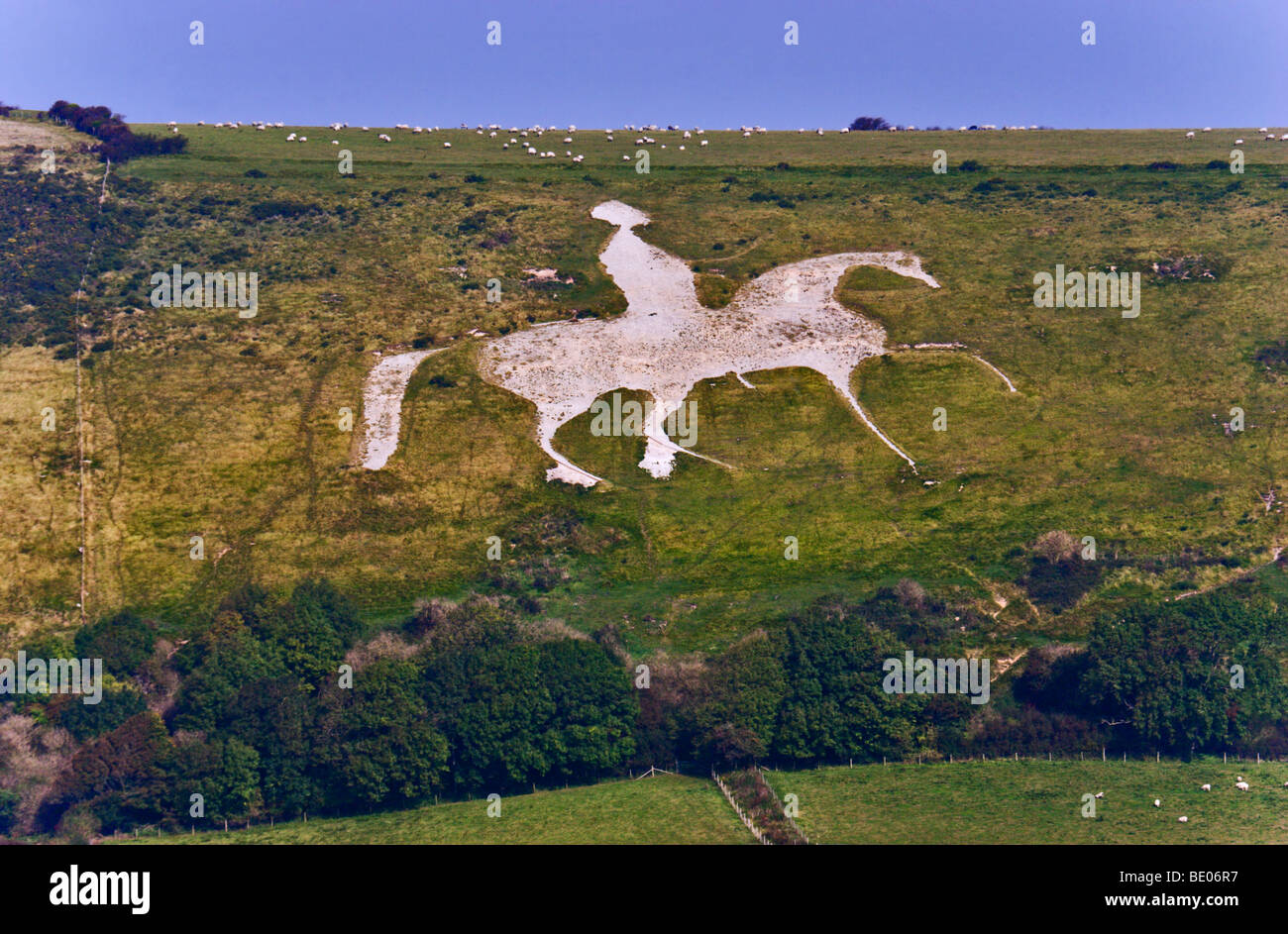 Osmington White Horse, Dorset, England Stock Photo - Alamy