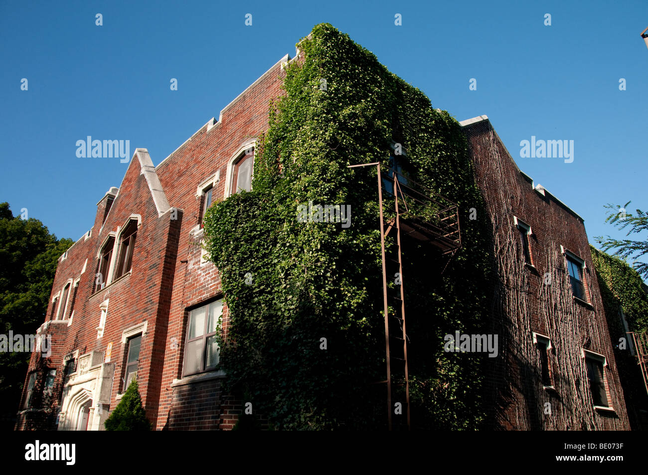 Ivy covered re brick building Stock Photo - Alamy