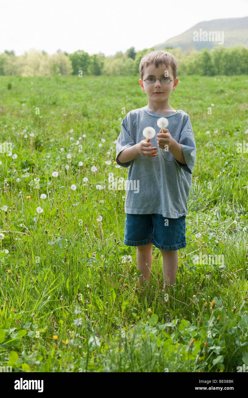 Field in springtime hi-res stock photography and images - Alamy