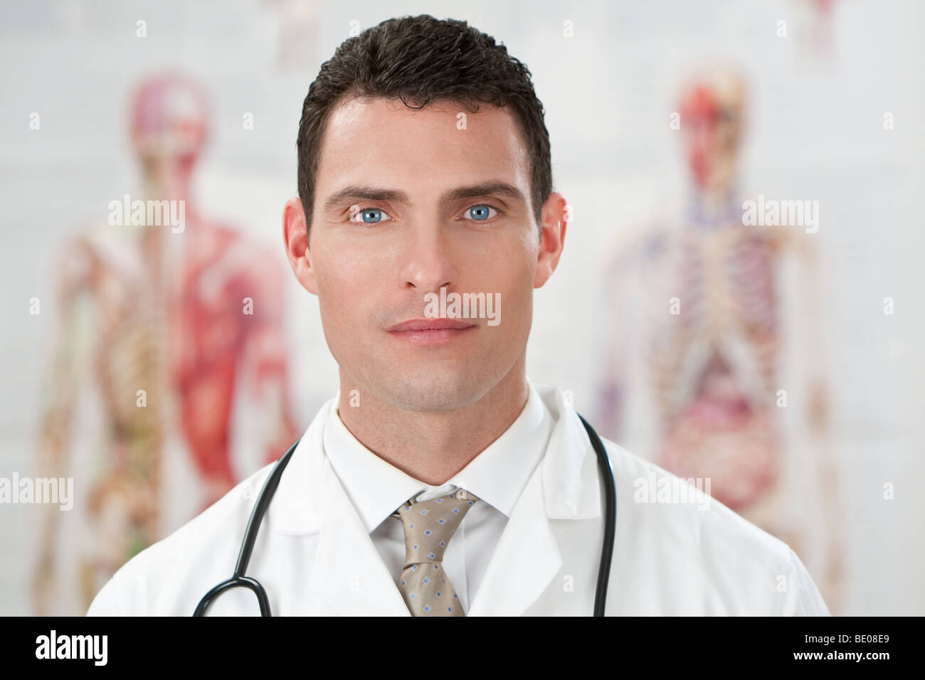 Male Anatomy Standing High Resolution Stock Photography and Images - Alamy