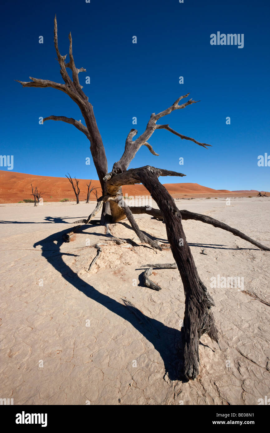 Hot desert dead hi-res stock photography and images - Alamy