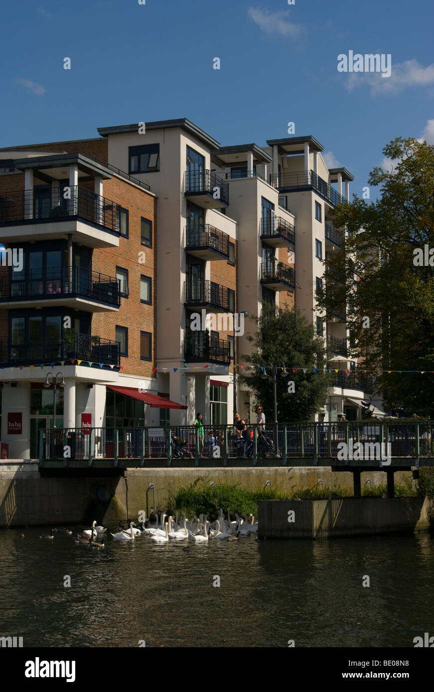 Riverside Buildings Kingston Surrey England Stock Photo - Alamy
