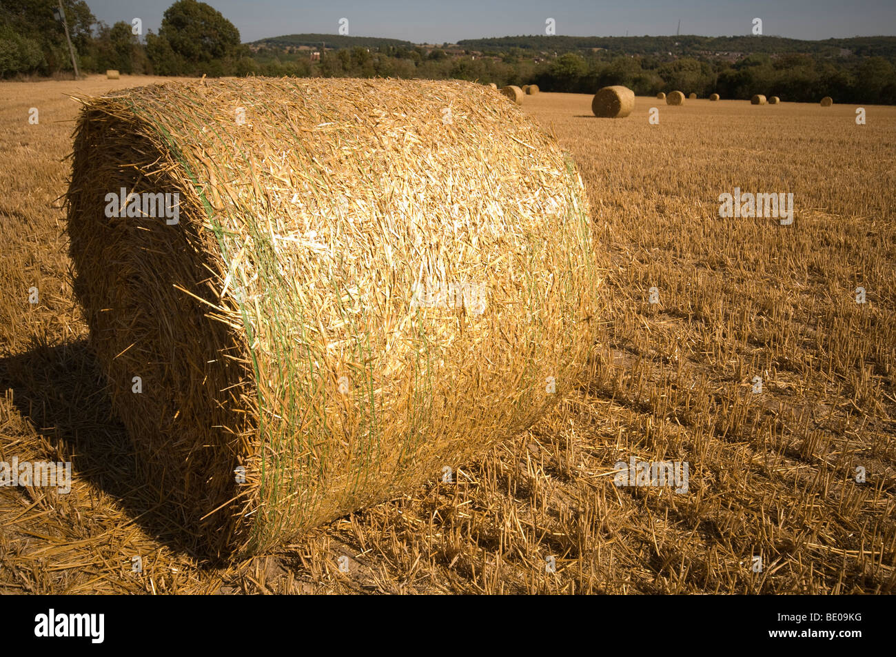 Wheat field after harvest hi-res stock photography and images - Alamy