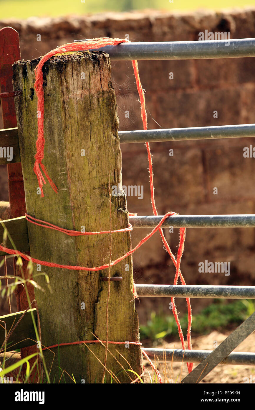 Baler twine and farming hi-res stock photography and images - Alamy