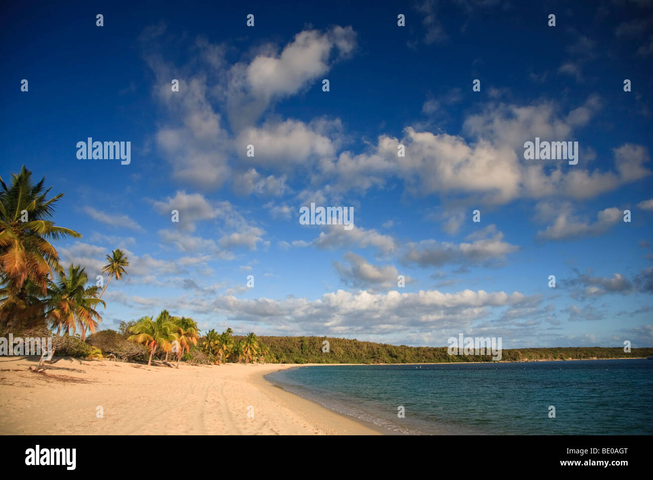 Usa, Caribbean, Puerto Rico, Vieques Island, Sun Bay Beach Stock Photo ...