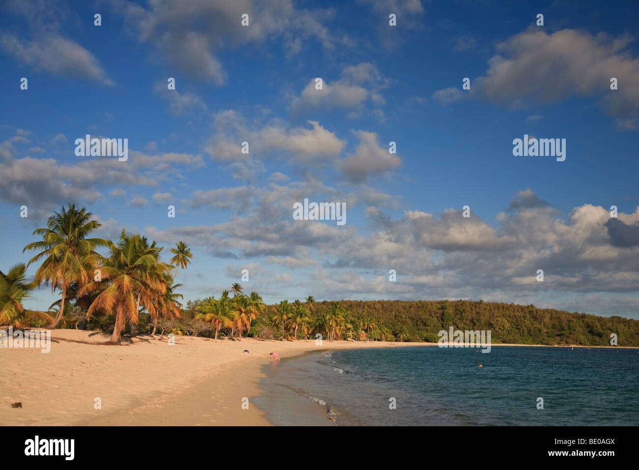 Usa, Caribbean, Puerto Rico, Vieques Island, Sun Bay Beach Stock Photo ...