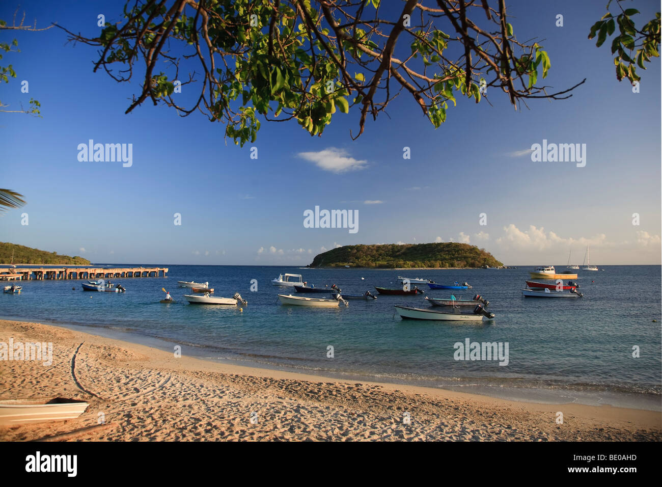 Usa, Caribbean, Puerto Rico, Vieques Island, Esperanza Bay Stock Photo ...