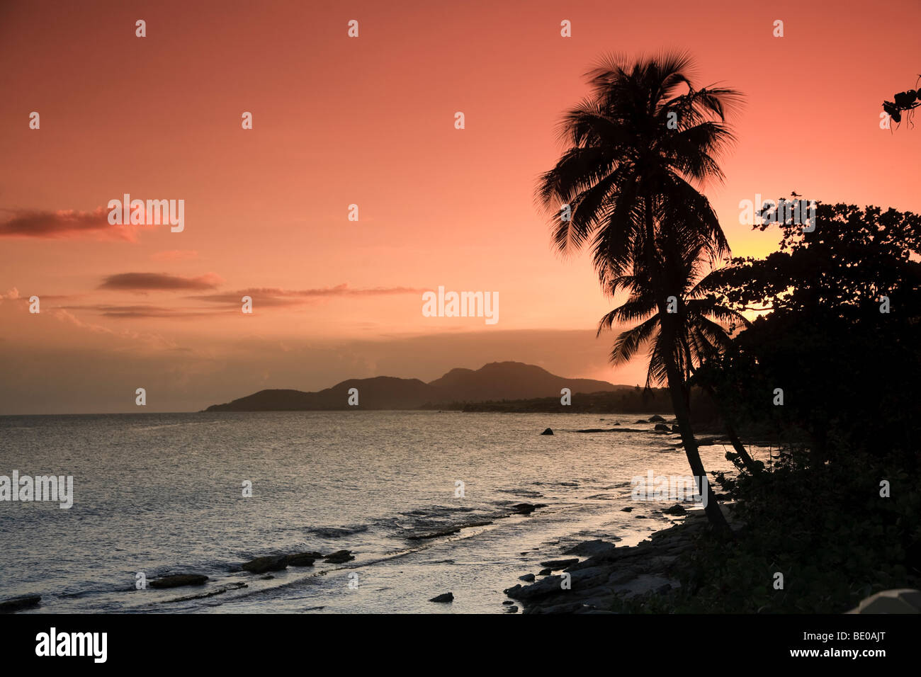 Usa, Caribbean, Puerto Rico, Vieques Island, Esperanza Bay Stock Photo ...