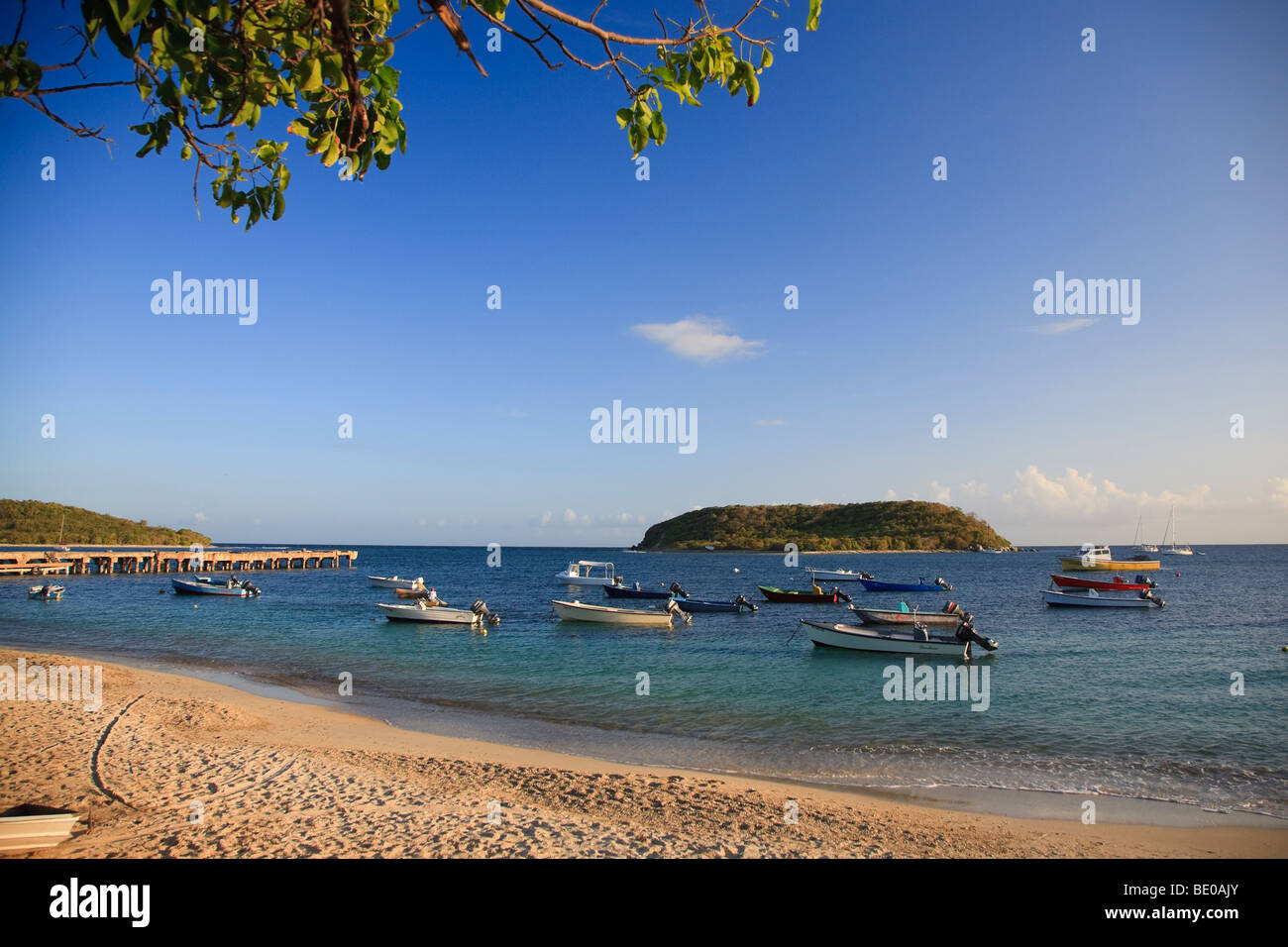Usa, Caribbean, Puerto Rico, Vieques Island, Esperanza Bay Stock Photo ...