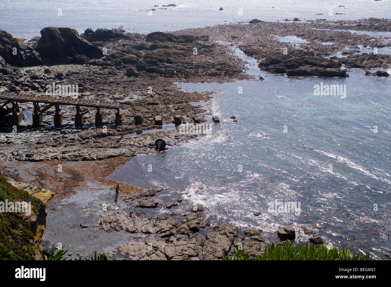 Lizard Point Cornwall England UK Stock Photo - Alamy