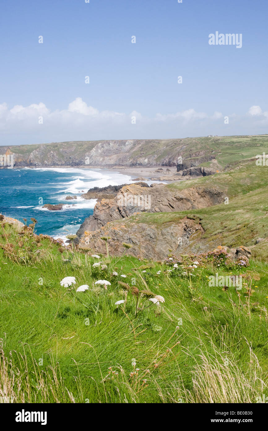 Lizard Point Cornwall England UK Stock Photo - Alamy