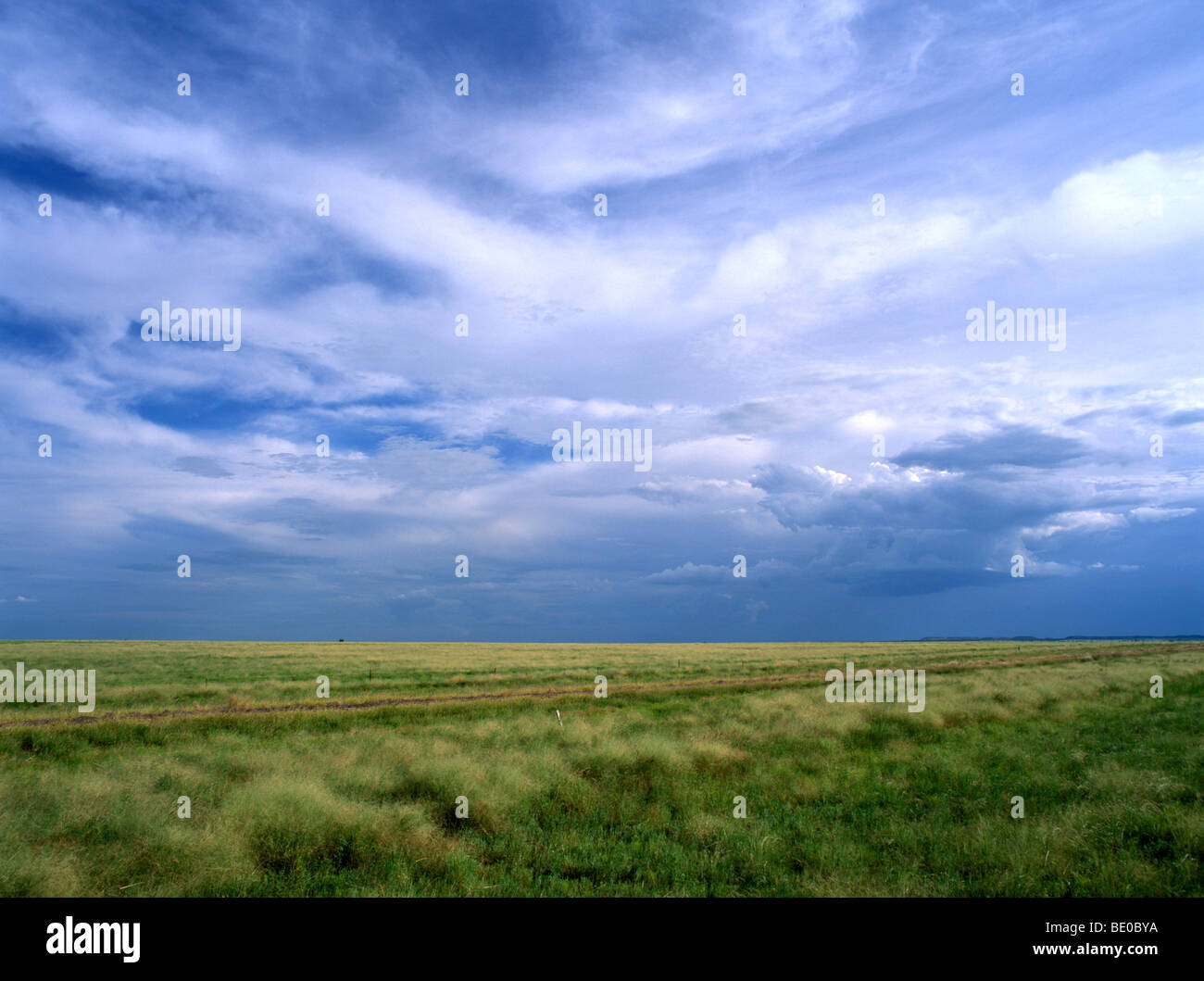 Winton queensland australia hi-res stock photography and images - Alamy