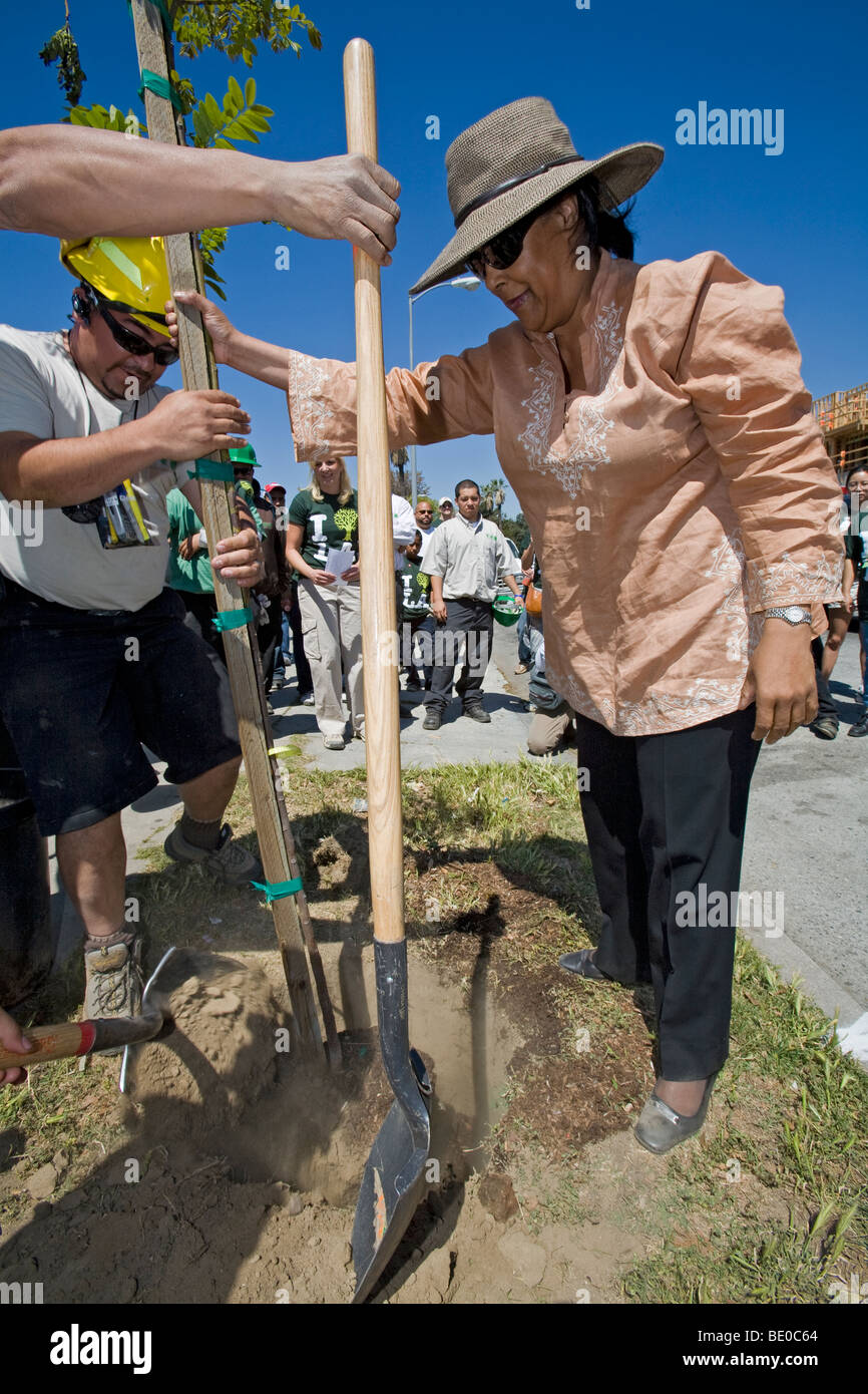 Black woman planting tree hi-res stock photography and images - Alamy
