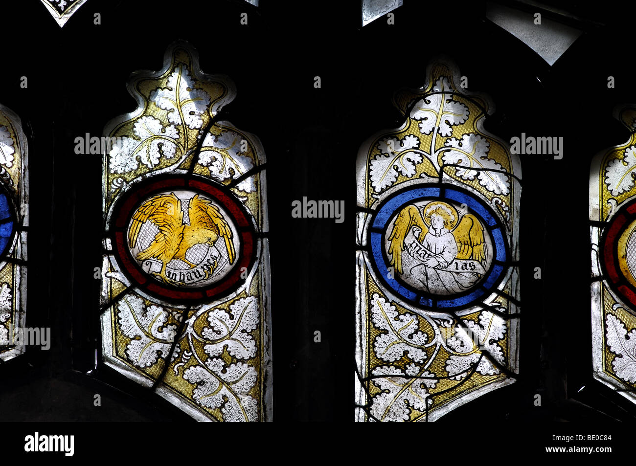 Medieval stained glass, All Saints Church, Odell, Bedfordshire, England ...