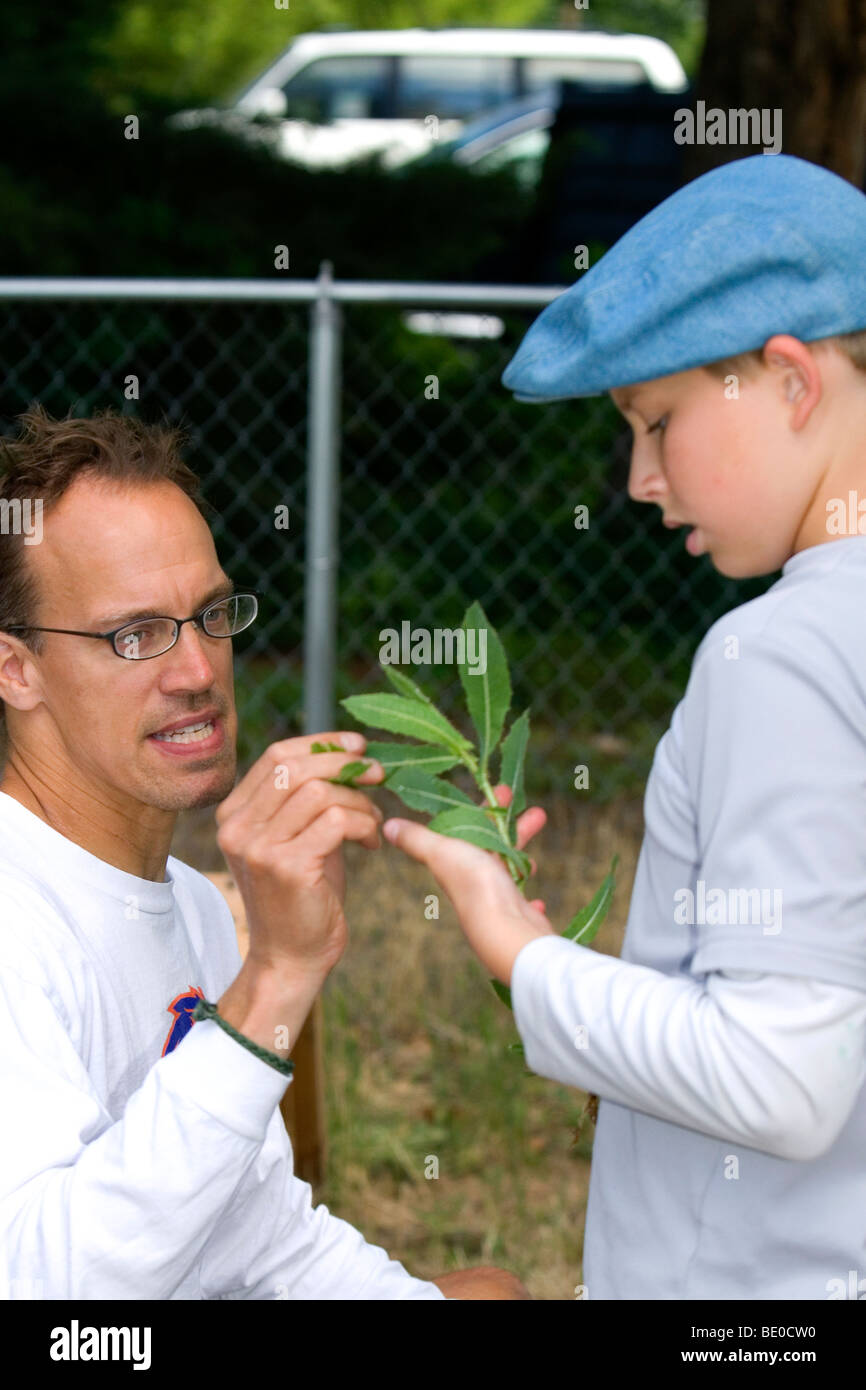 Weed united states hi-res stock photography and images - Alamy