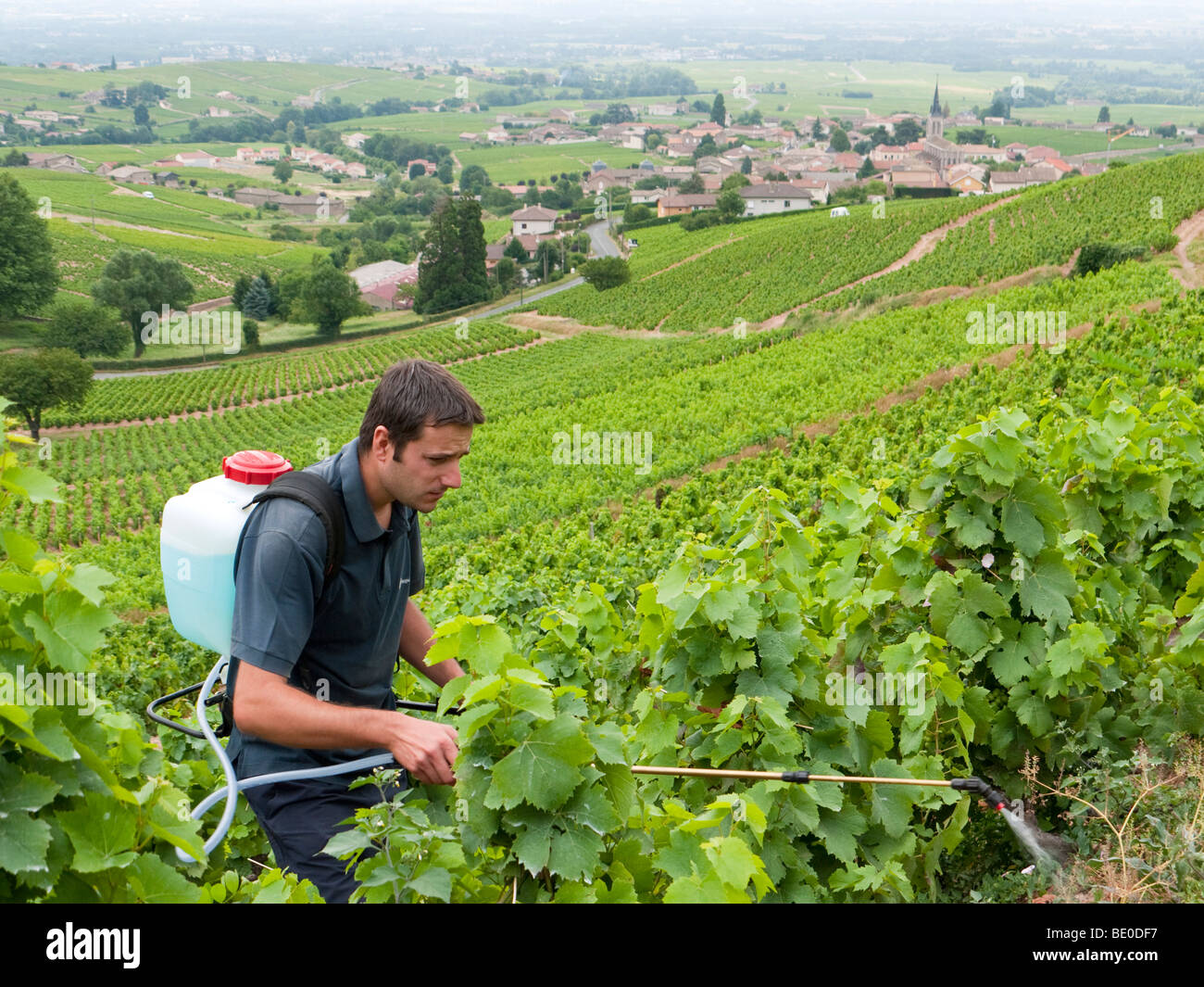 Wine growing village in france hi-res stock photography and images - Alamy