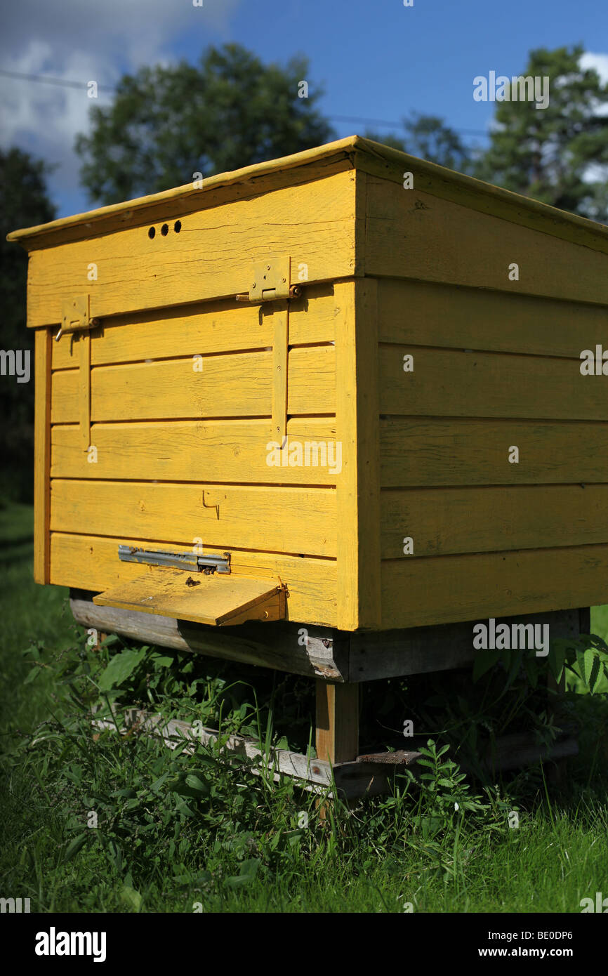 beehive, beehouse, yellow Stock Photo - Alamy