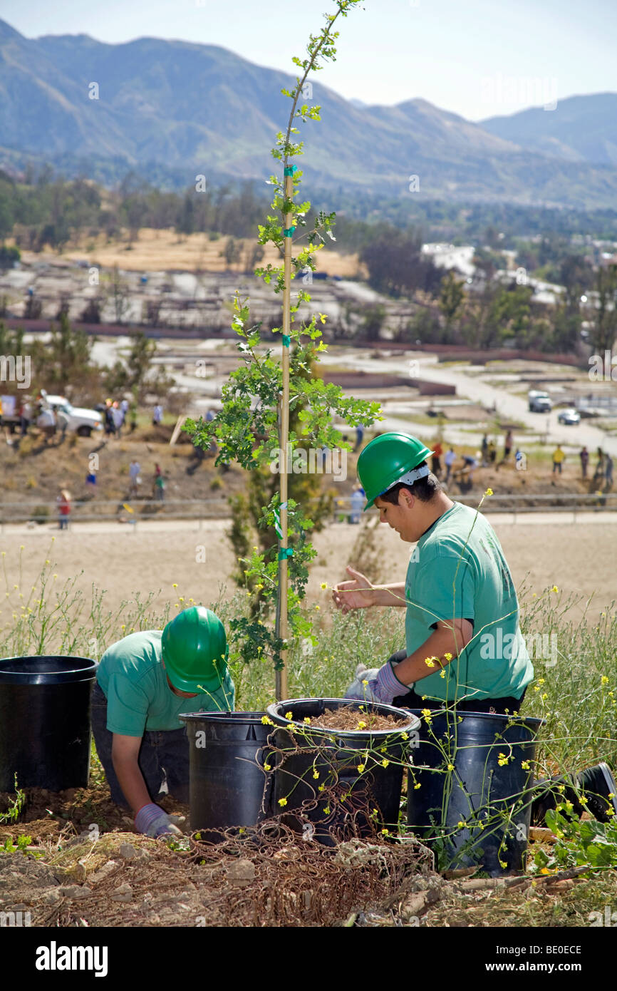 Volunteers help at tree planting to reforest Stetson Ranch Park in ...