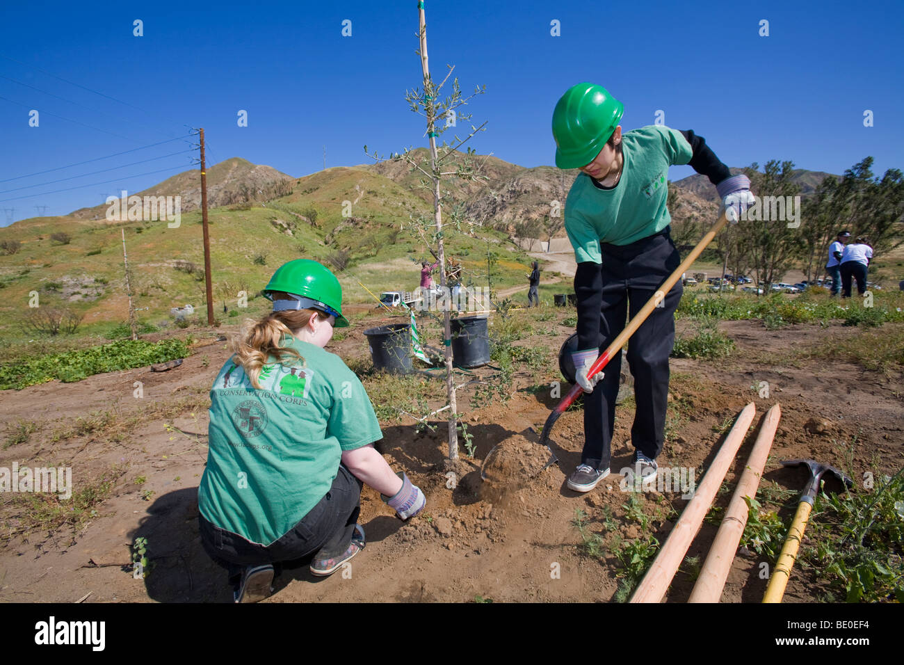 Children planting trees hi-res stock photography and images - Alamy