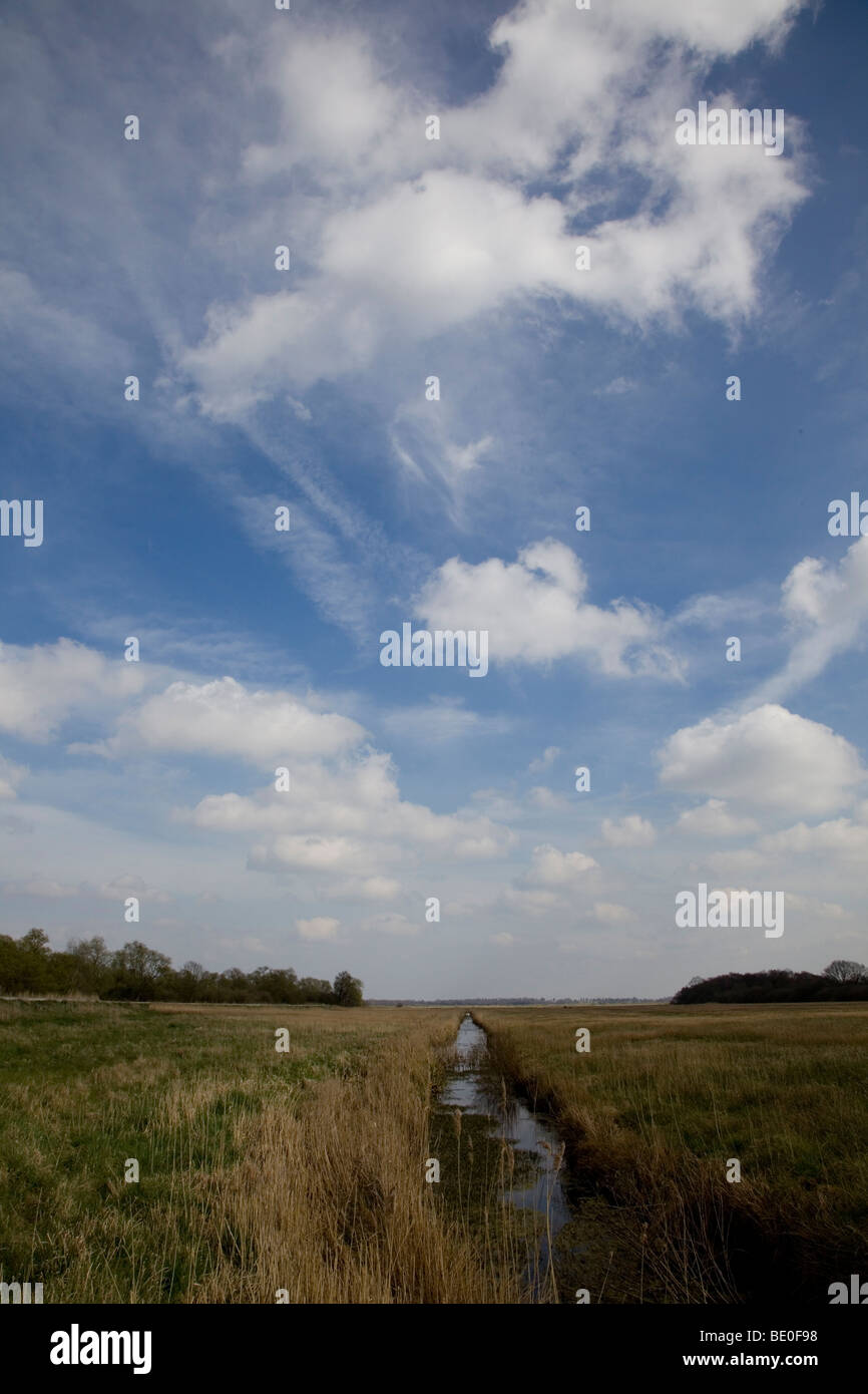 Landscape, Norfolk Broads Stock Photo - Alamy