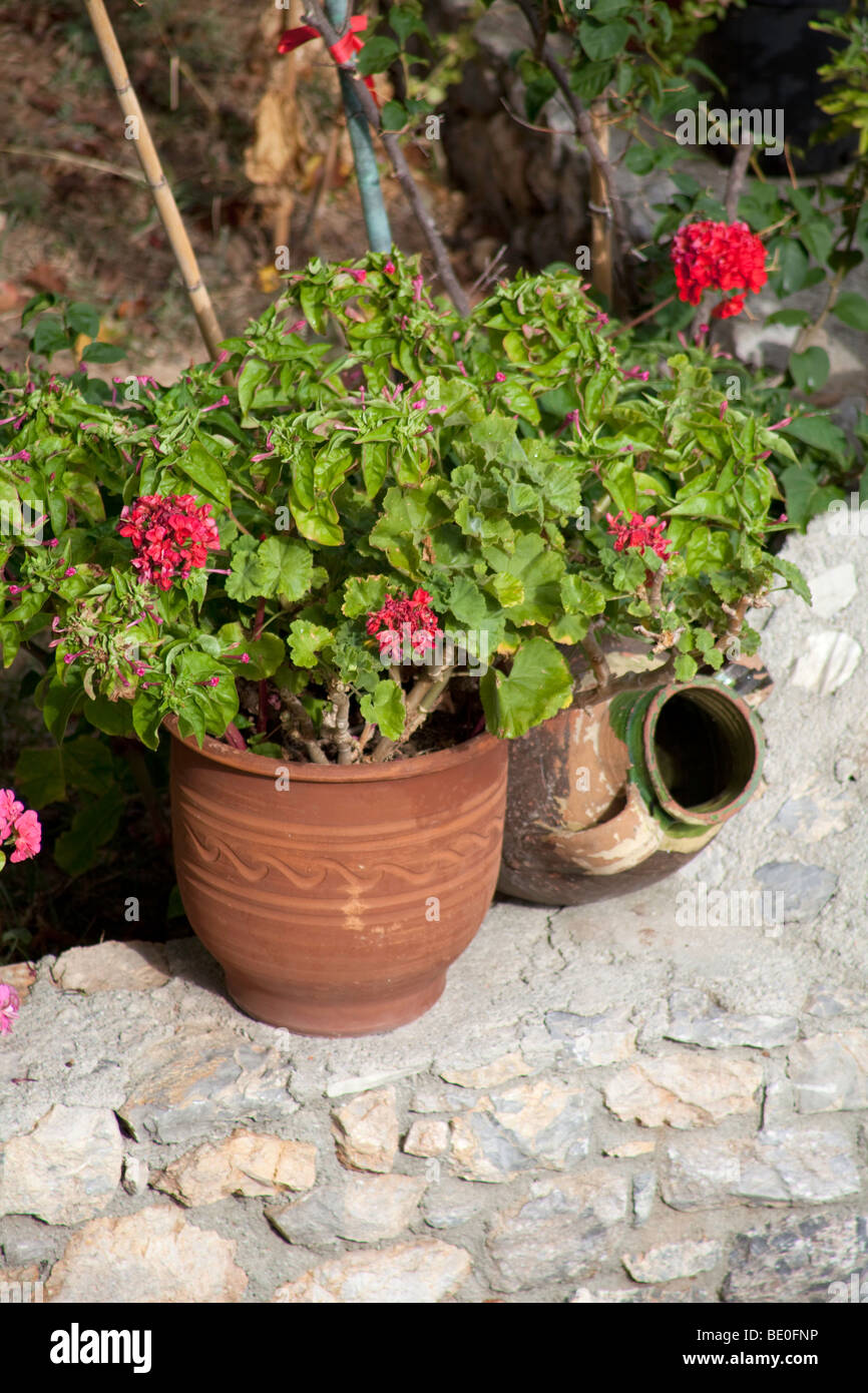 Try pot hi-res stock photography and images - Alamy