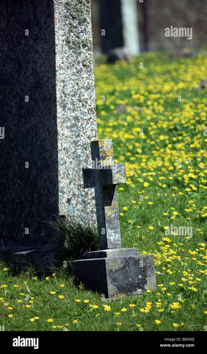 Child's gravestone in a field of buttercups Stock Photo - Alamy