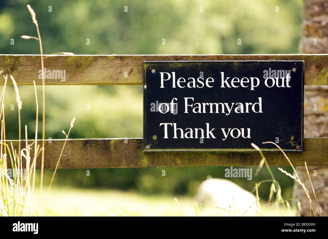 Yha Sign High Resolution Stock Photography and Images - Alamy