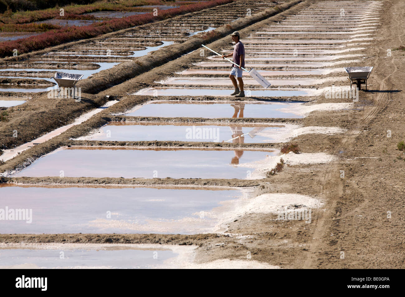 Salt farming, ile de Re, France Stock Photo - Alamy