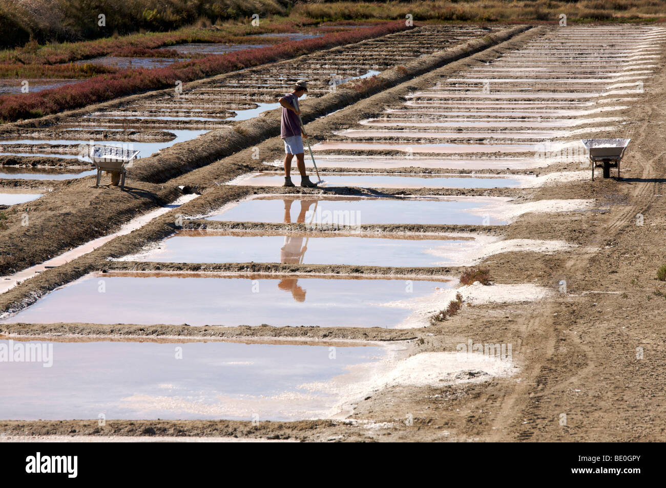Salt water farming hi-res stock photography and images - Alamy