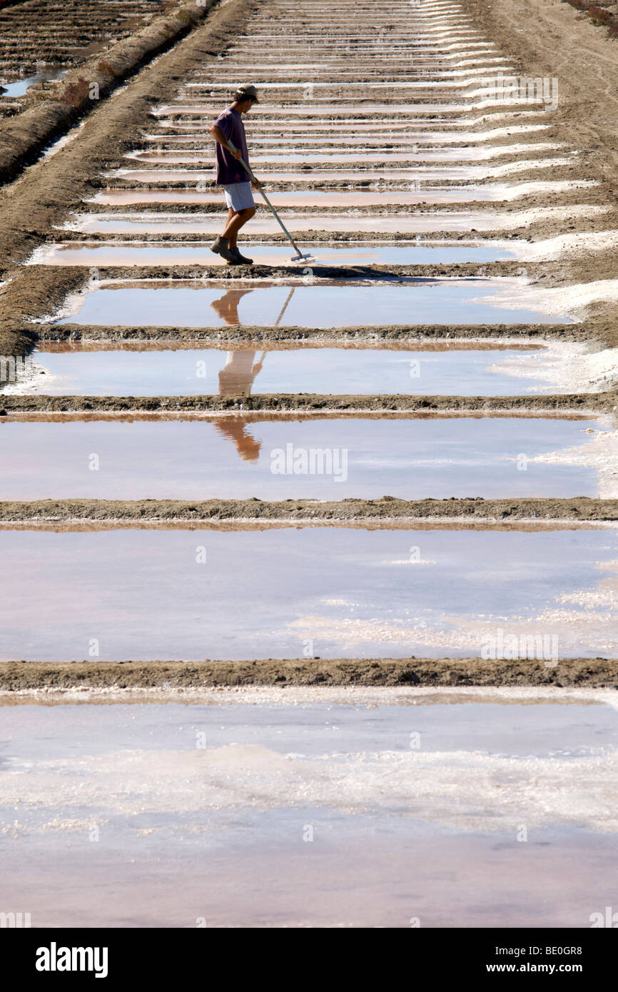 Maritime farming hi-res stock photography and images - Alamy