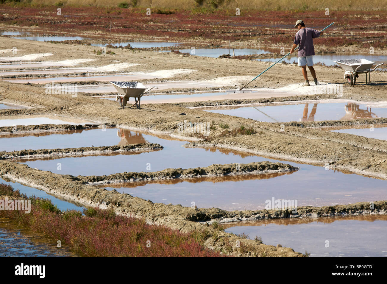 Traditional salt farming hi-res stock photography and images - Alamy
