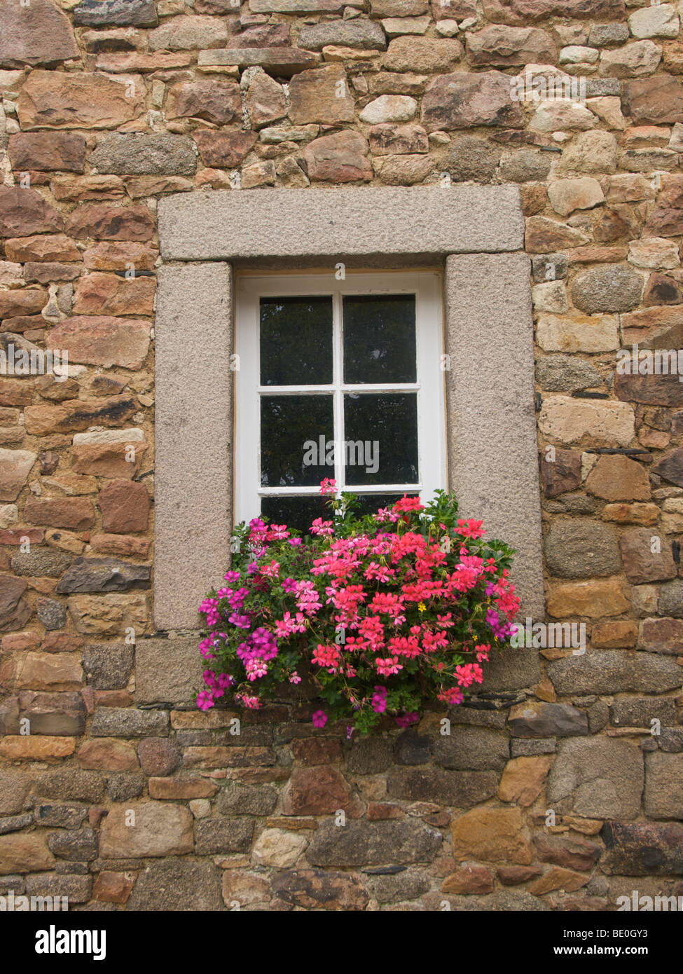 French window flowers hi-res stock photography and images - Alamy