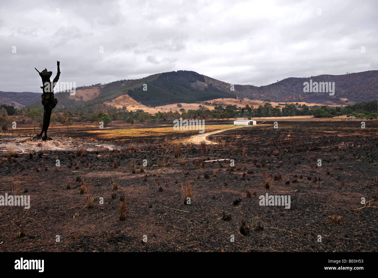 Burnt shed hi-res stock photography and images - Alamy