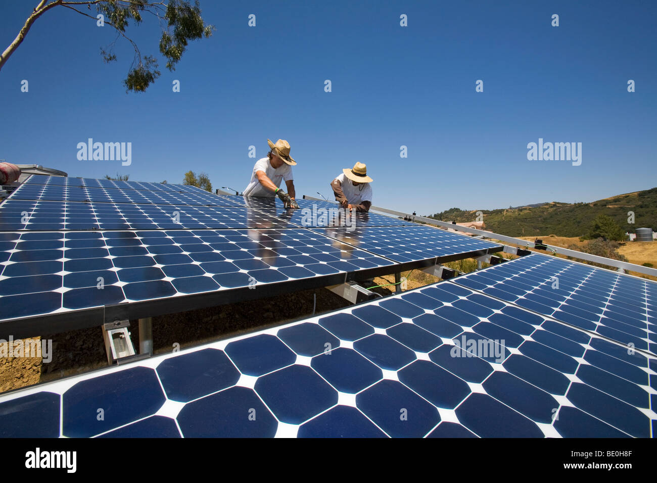 Ambient green hi-res stock photography and images - Alamy