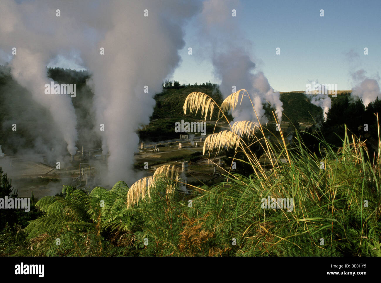 Geothermal Steam Rising from the Wairakei Geothermal Power Station ...