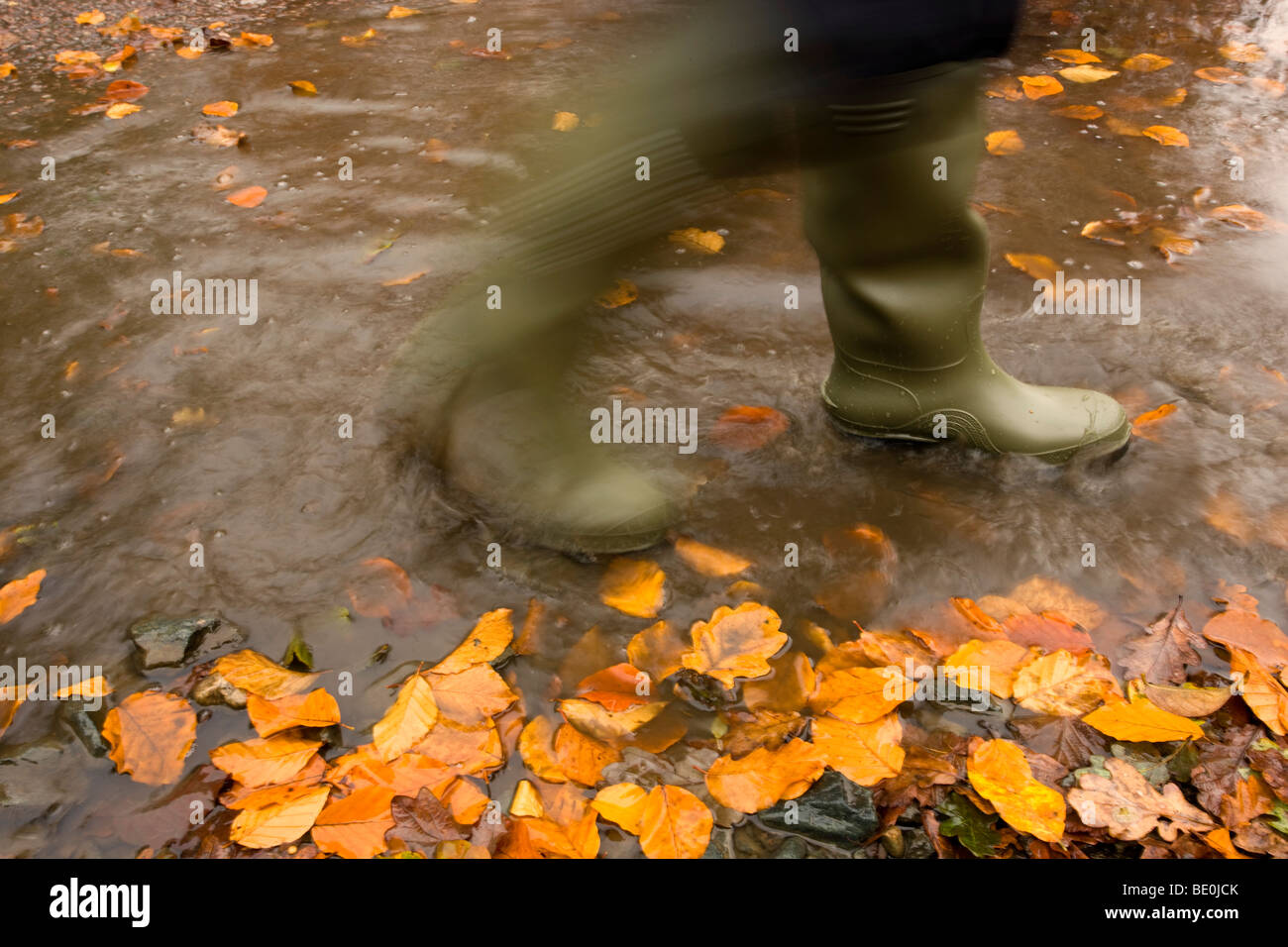 Person walks through puddle hi-res stock photography and images - Alamy