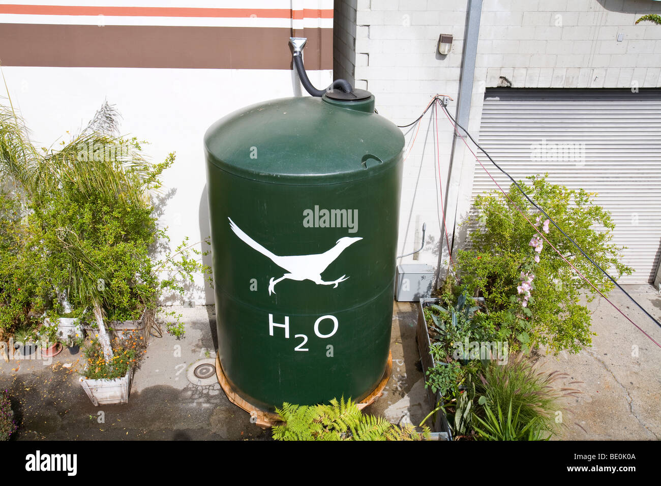 Nursery tank hi-res stock photography and images - Alamy