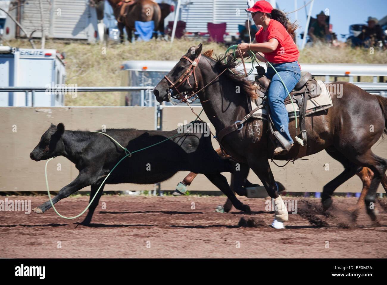 Women compete in team roping event in Hawaii Stock Photo - Alamy