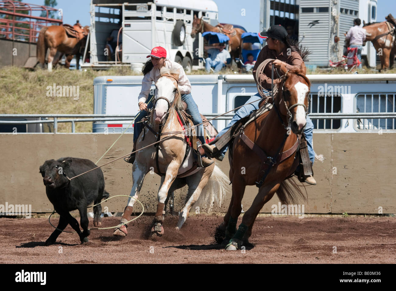 Women compete in team roping event in Hawaii Stock Photo - Alamy