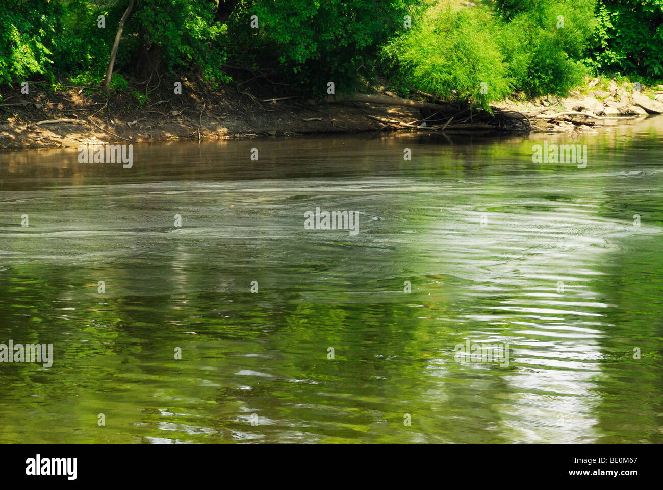 Pollen or scum floating on the Muskingum river in Zanesville Ohio Stock ...