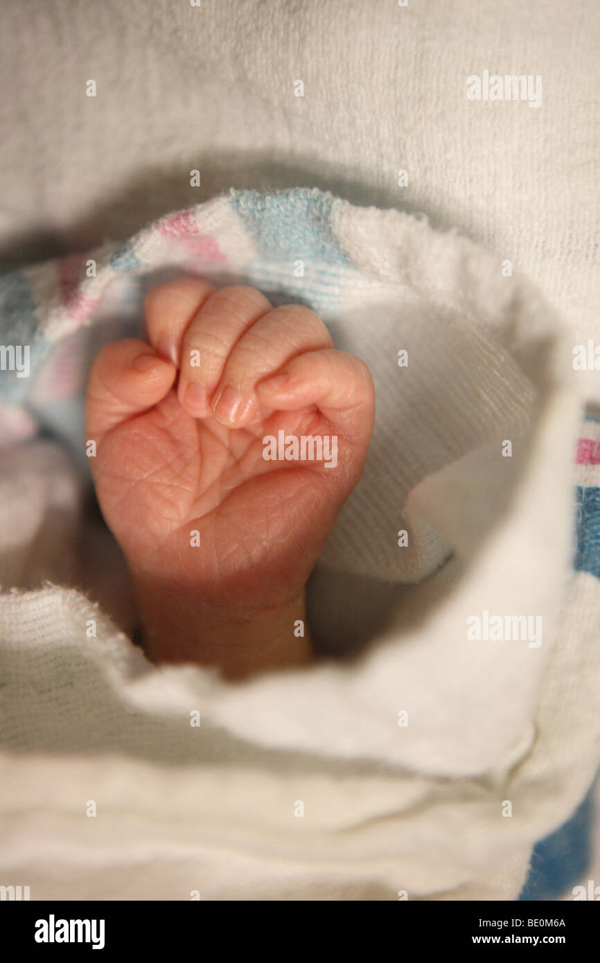 A newborn baby's hand Stock Photo - Alamy
