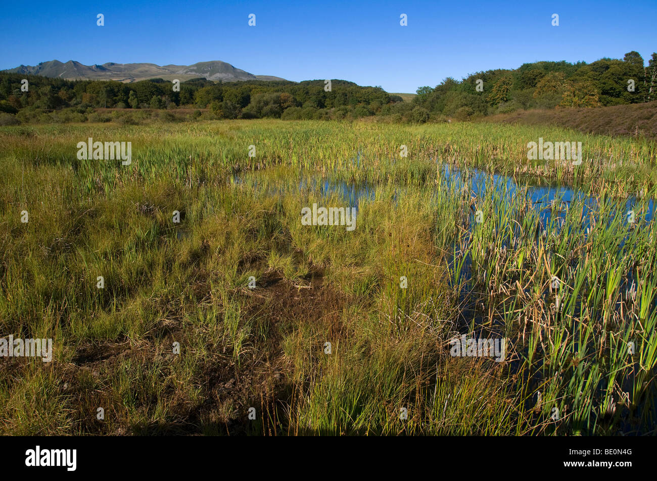 Bog landscape hi-res stock photography and images - Alamy