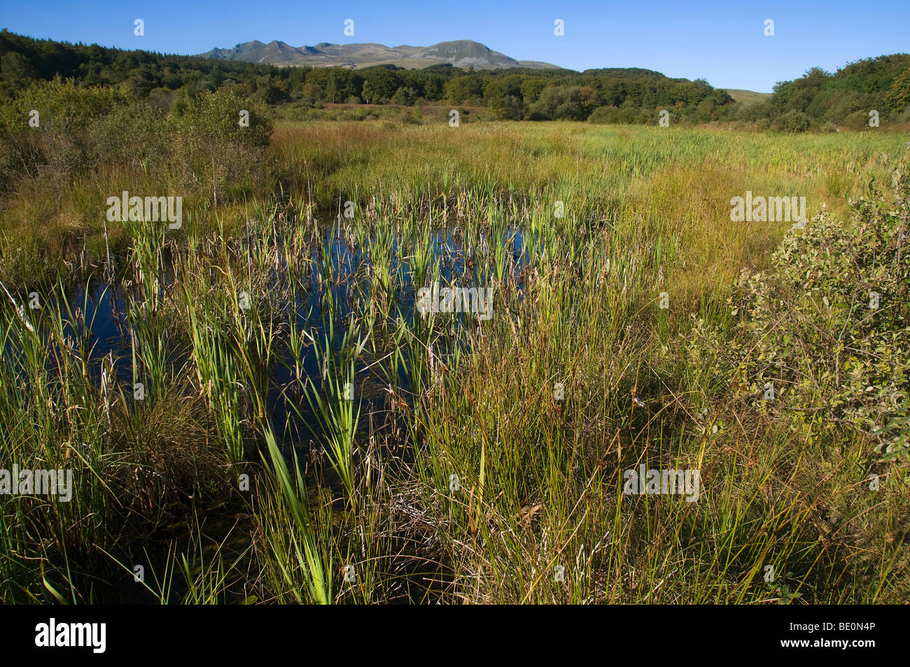 Bog landscape hi-res stock photography and images - Alamy
