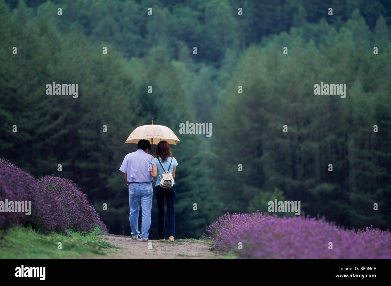 Umbrella walk hi-res stock photography and images - Alamy