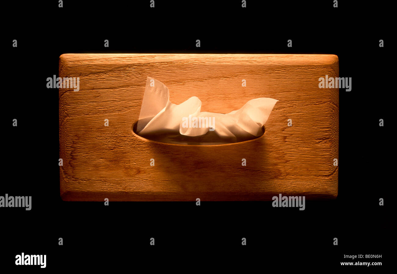 Overhead view of wooden tissue box at a Japanese inn (ryokan), Yamagata ...