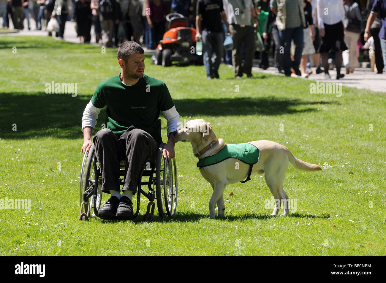 A Dog How To Help Disabled Person