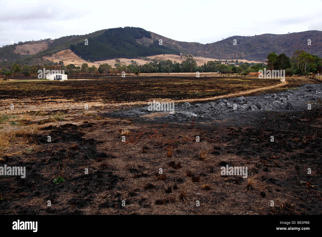 australian bush fire damage,australian bush fire aftermath,post ...