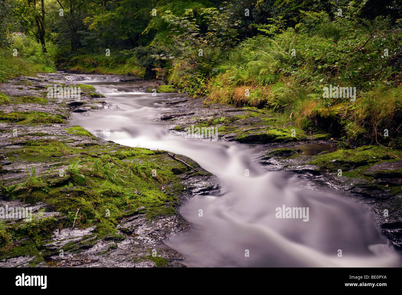 Valency valley hi-res stock photography and images - Alamy