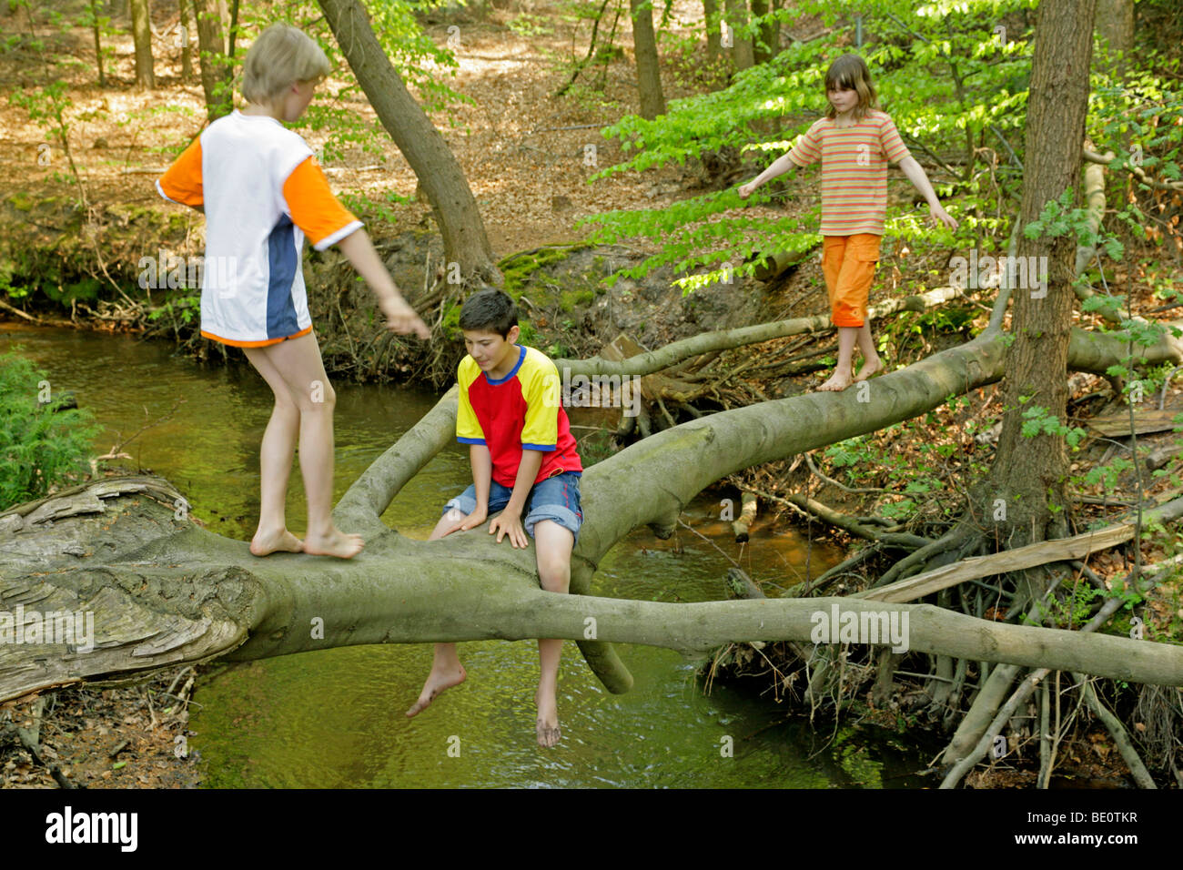 kids playing in a forest Stock Photo - Alamy